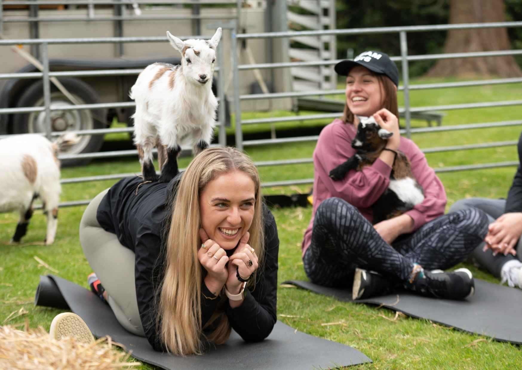 Sharky and George – Adults - Miss Jones Group | Miss Jones Group